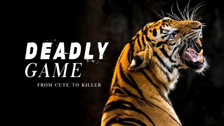 Deadly Game - MagellanTV Documentaries