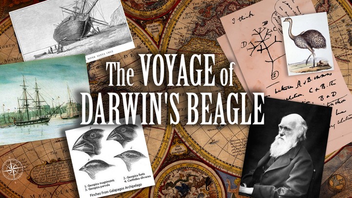 The Voyage of Darwin's Beagle: On the Future of Species - MagellanTV
