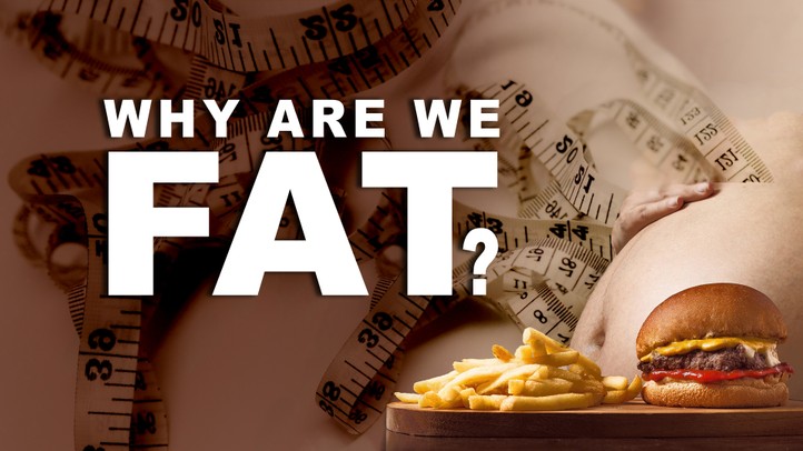 The Gut: Our Second Brain - MagellanTV The Gut: Our Second Brain - MagellanTV