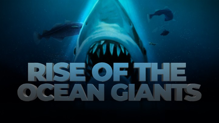 Rise of the Ocean Giants - MagellanTV Documentaries