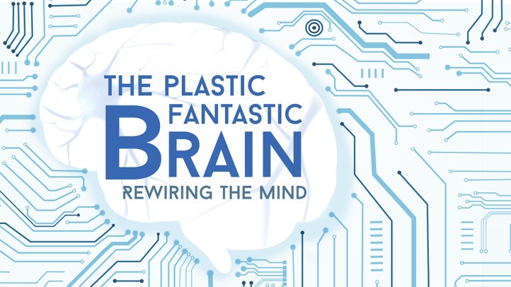 The Plastic Fantastic Brain - MagellanTV Documentaries