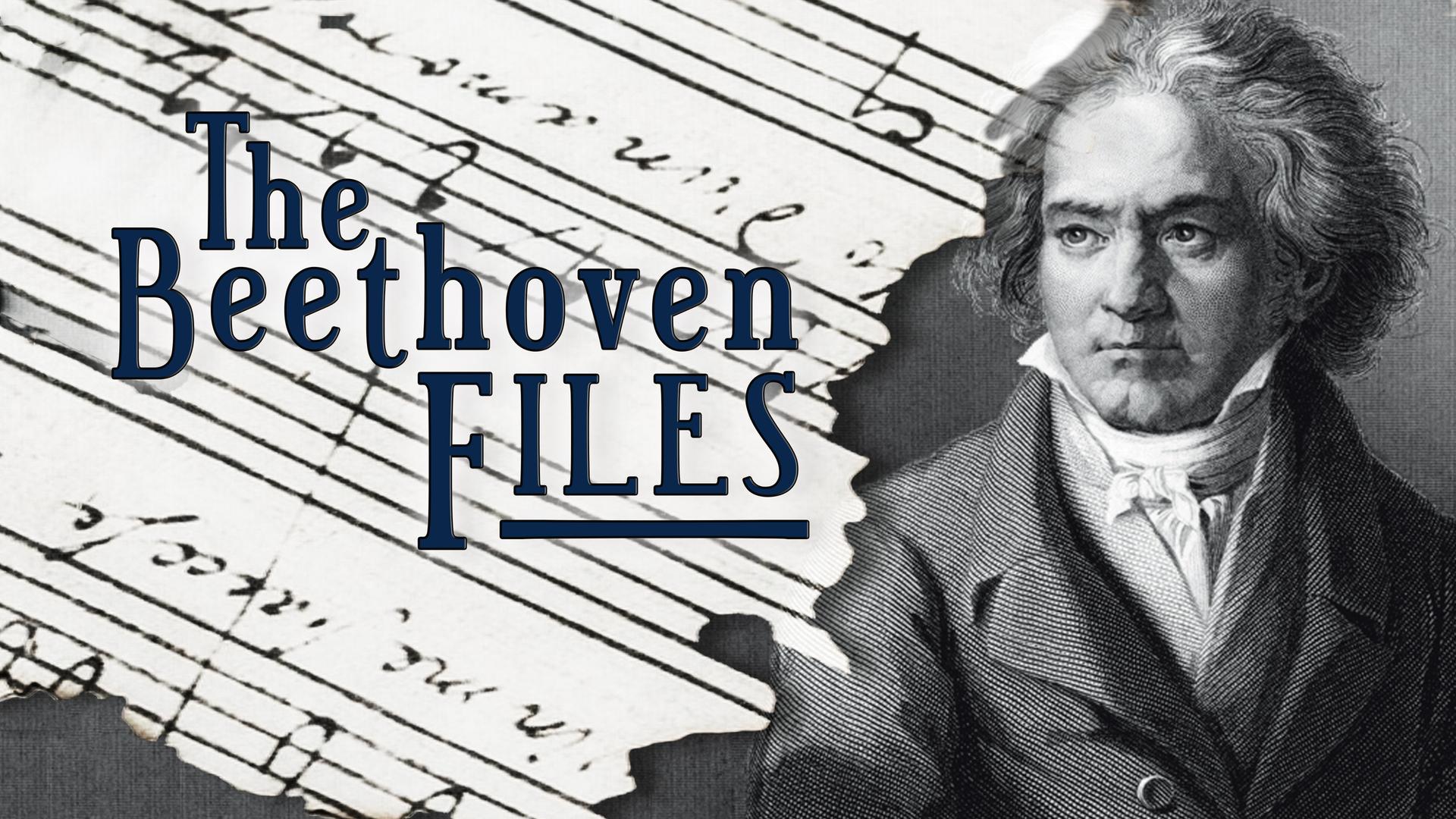 Beethoven as a Child and His Father's Alcoholism - MagellanTV