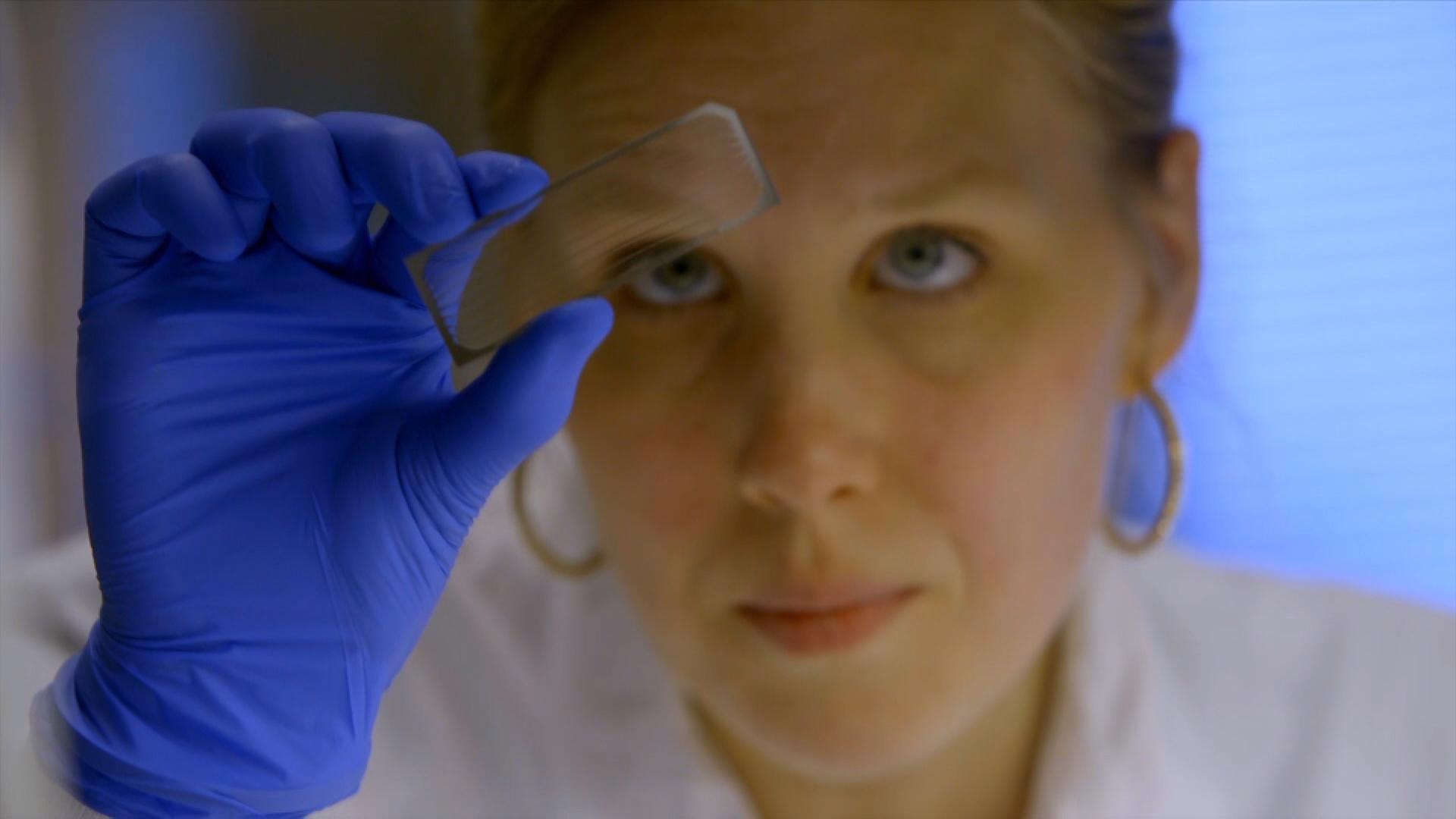 The Evolution of Us - MagellanTV Documentaries