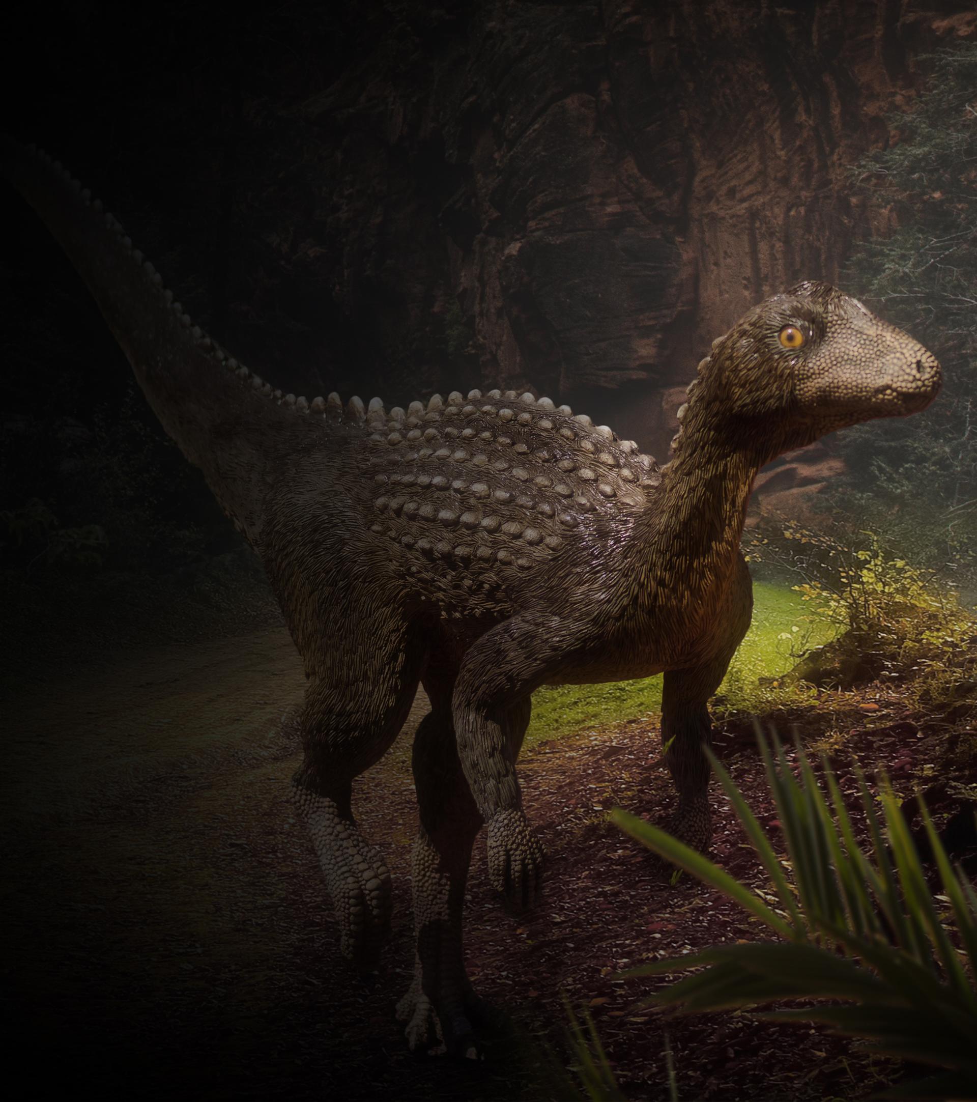 MagellanTV Documentary Streaming Service - Documentaries Worth Watching