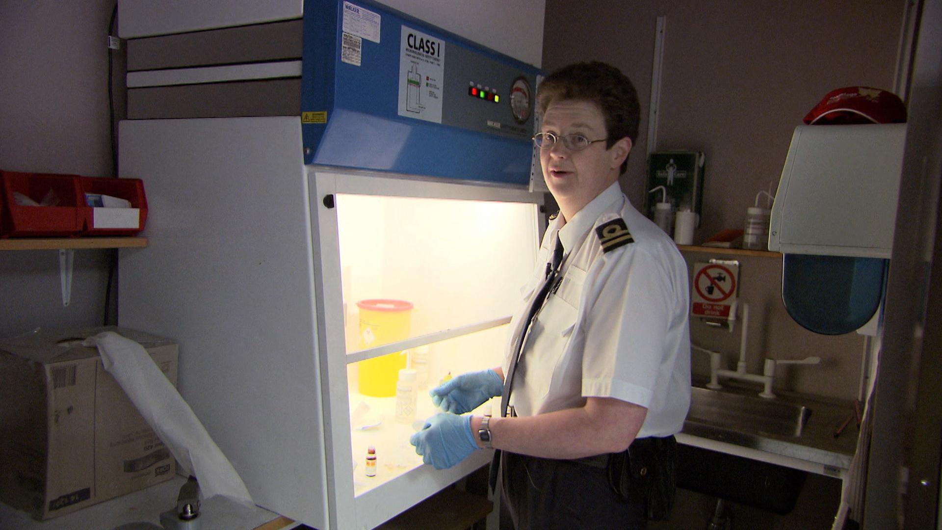 Customs - MagellanTV Documentaries