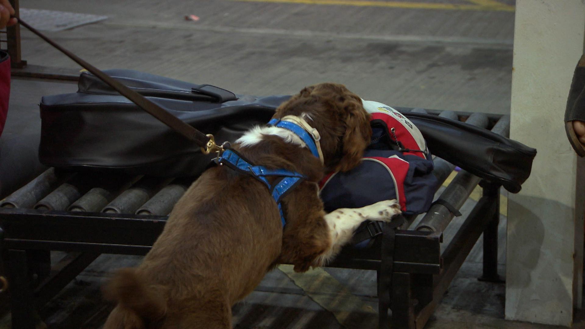 Customs - MagellanTV Documentaries