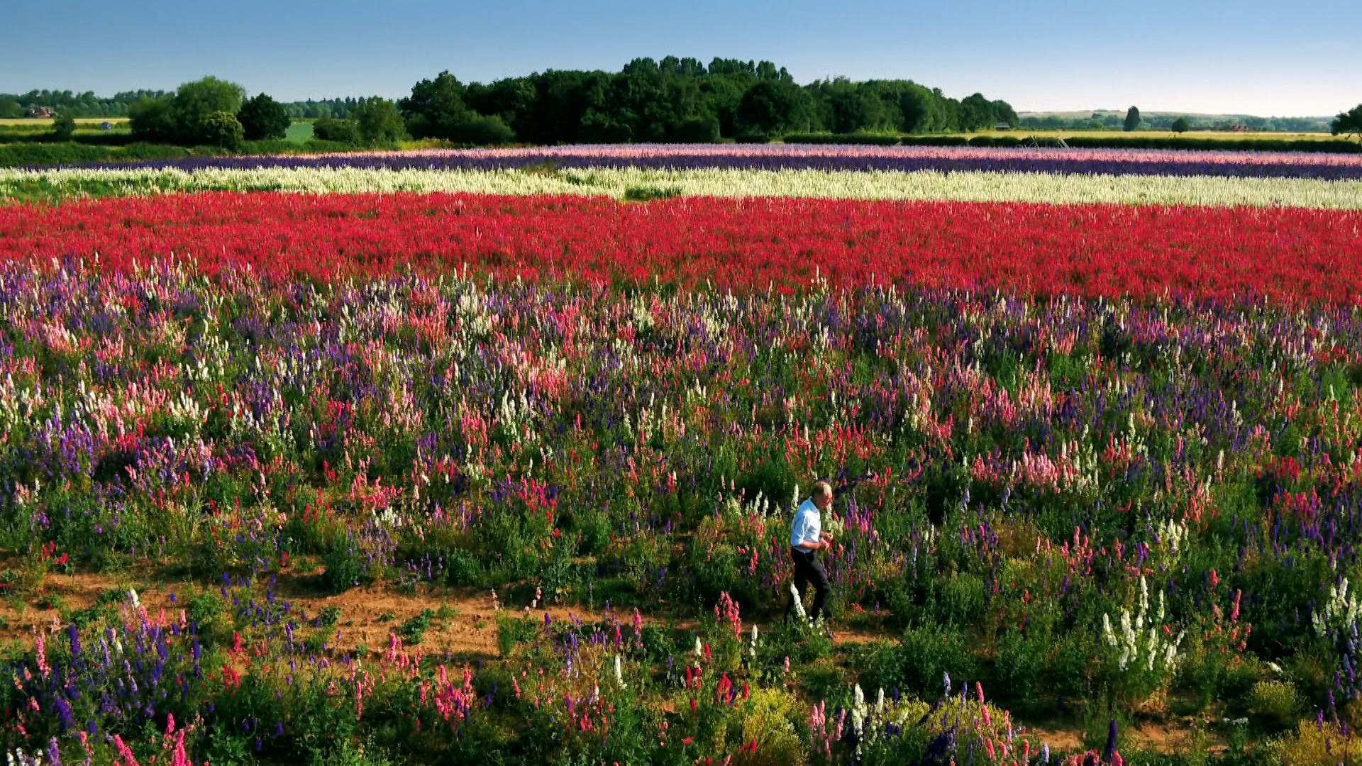 Hidden Britain by Drone - MagellanTV Documentaries