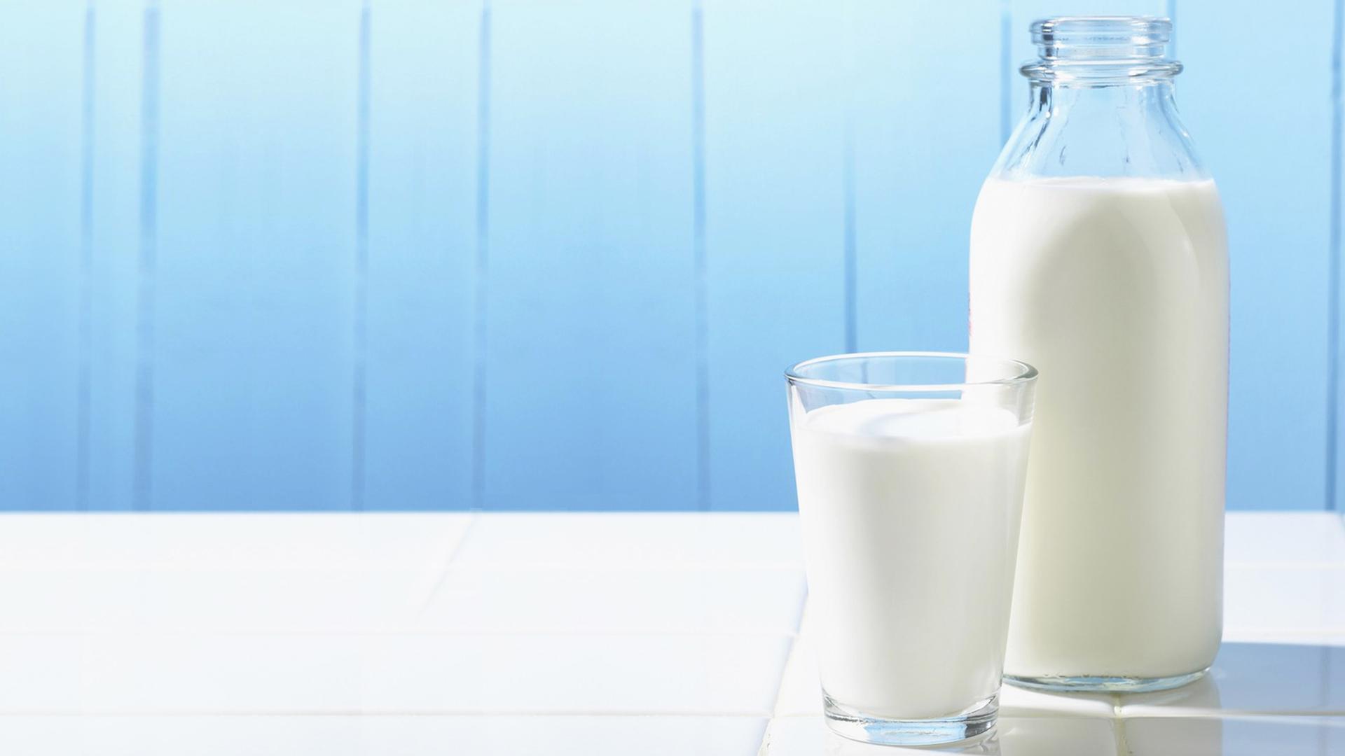 Milk - MagellanTV Documentaries